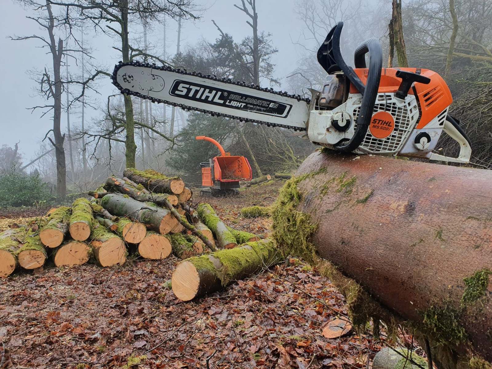 Tree Specialists | Viking Tree & Gardening Services